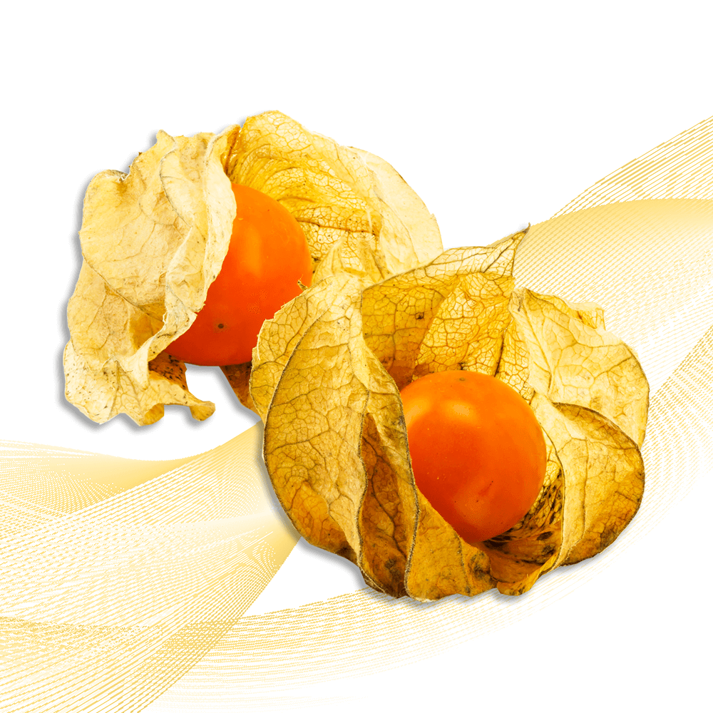 Sun Berries – RekaFlavour