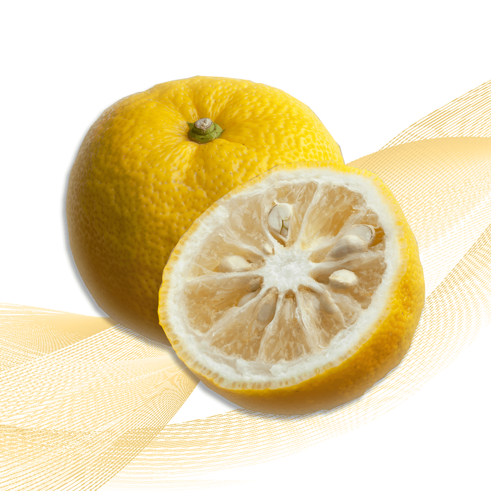 Yuko Citrus Japan – RekaFlavour